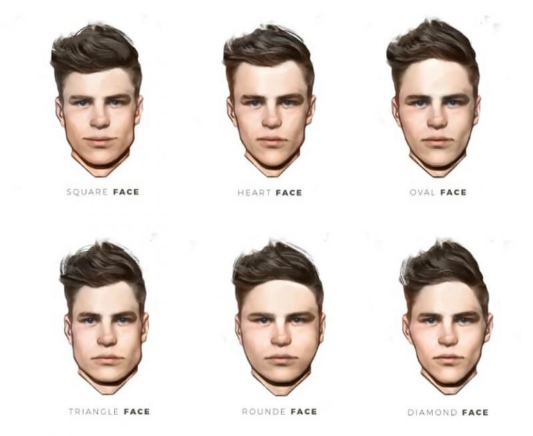 Average Forehead Size | What’s the Normal Size?