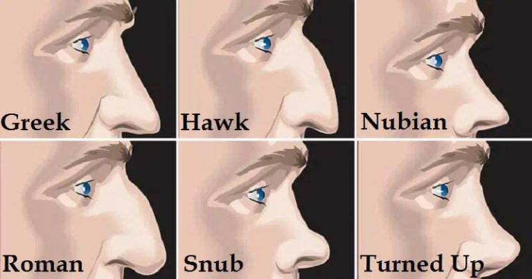 Different Nose Shapes - Cosmeticium